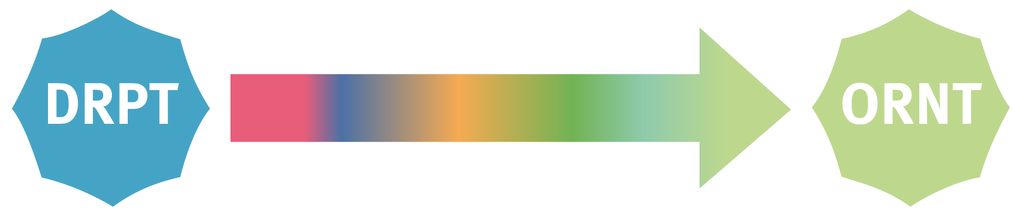 DRPT – Baumann Skin Types